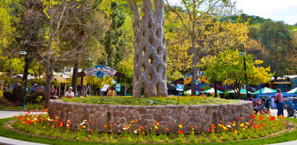 Circus Trees - Unique Arbor Sculptures at Gilroy Gardens