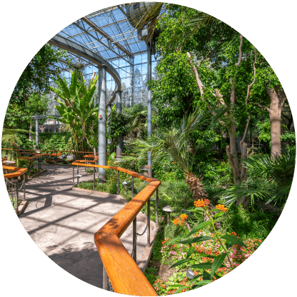 Homepage - Gilroy Garden Family Theme Park